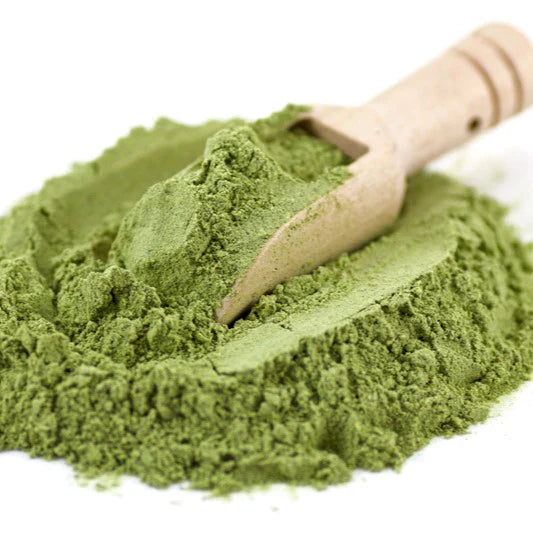Benefits of Broccoli Sprout Powder - Wholesale B2B Bulk Suppliers in A ...