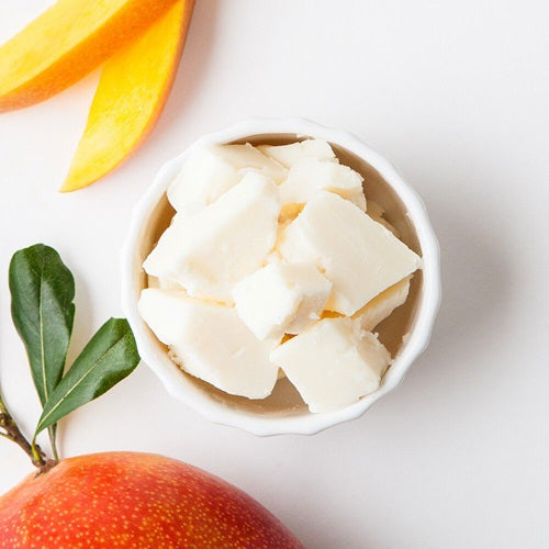 Benefits of Mango Butter - Wholesale B2B Bulk Suppliers – Medikonda ...