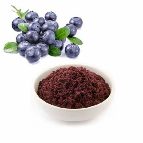 Benefits of Bilberry Juice Powder - Wholesale B2B Bulk Suppliers in Au ...