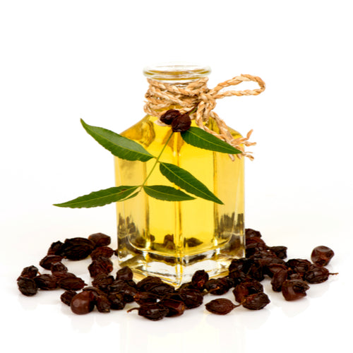 Benefits of Neem Oil - Wholesale B2B Bulk Suppliers in Australia and N ...