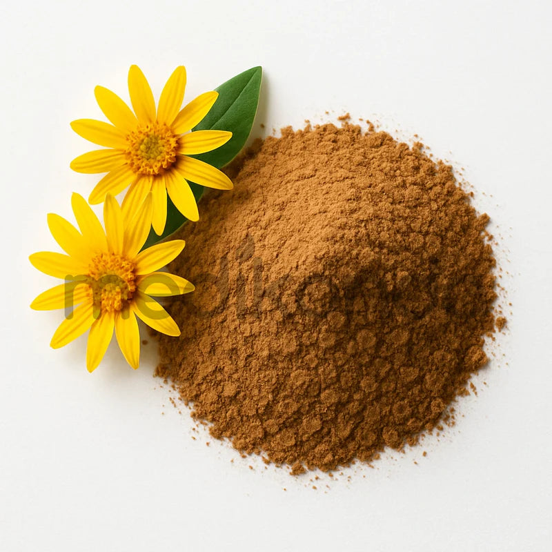 Arnica Powder Bulk Wholesale Suppliers in Australia – Medikonda Australia