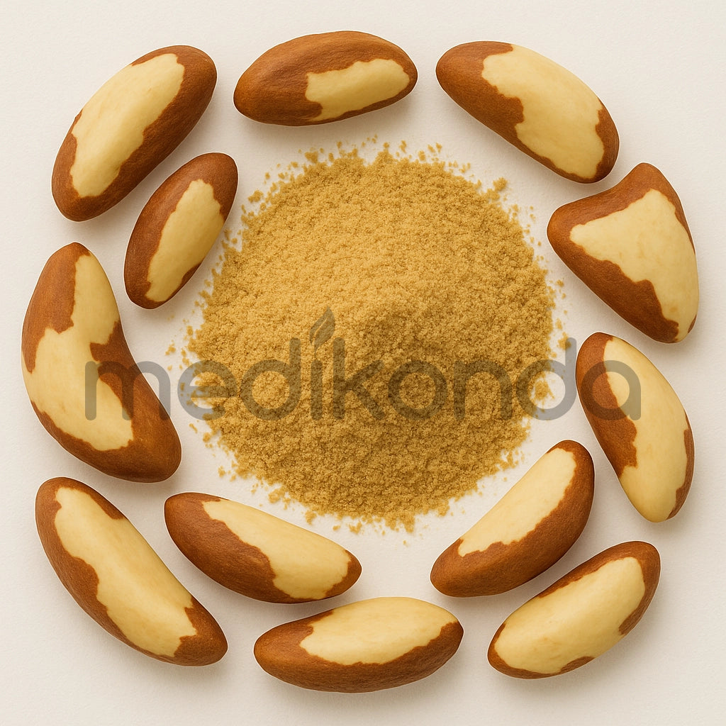Brazil Nuts Powder Bulk Wholesale Suppliers in Australia – Medikonda ...
