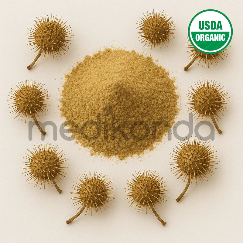 Burdock Fruit Extract Powder Bulk Wholesale Suppliers in – Medikonda ...